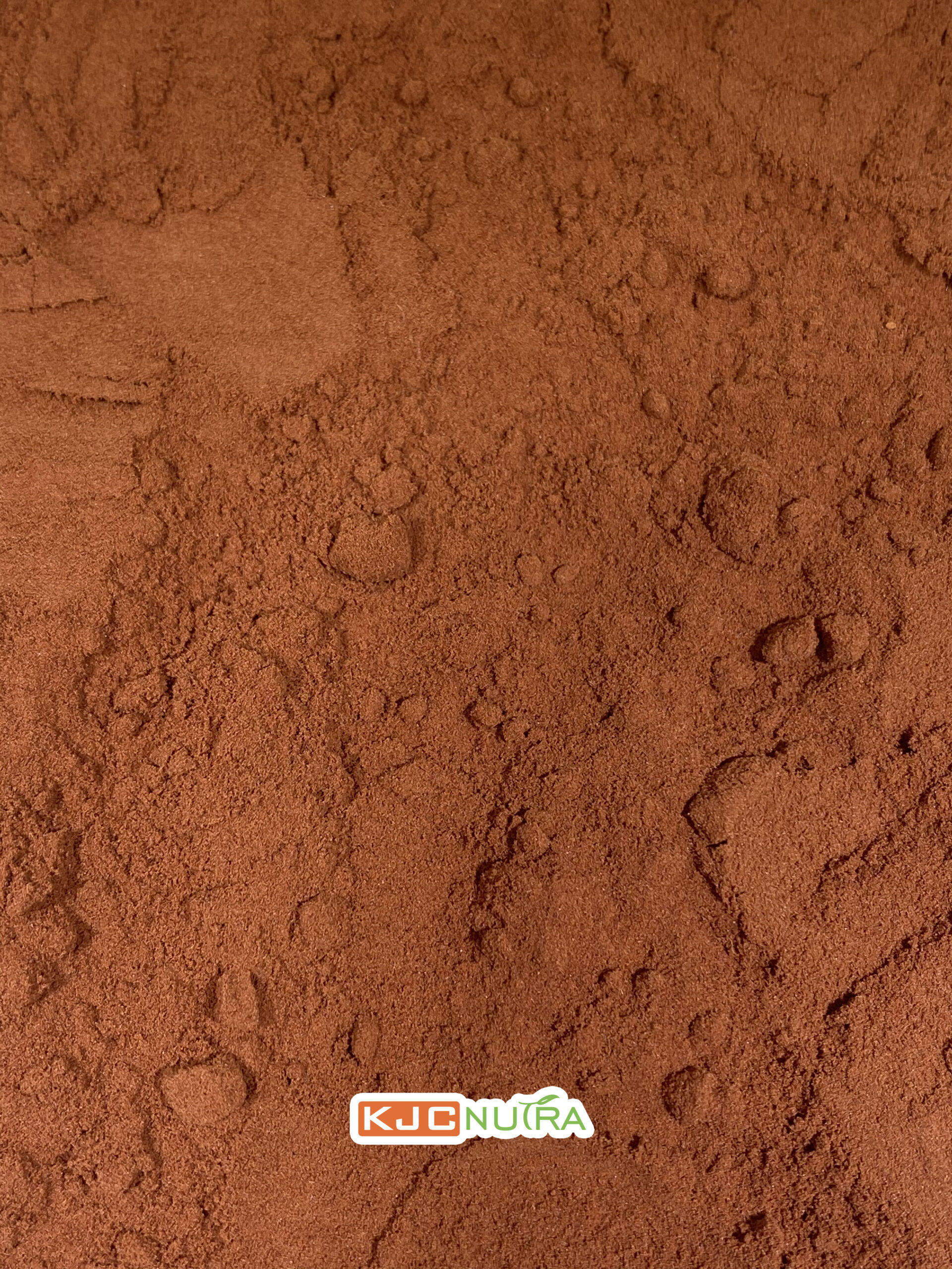 Pine Bark Extract 95% (Pinus pinaster) – kjc