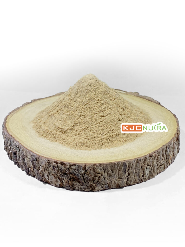 Nopal Cactus Powder – KJC Nutra